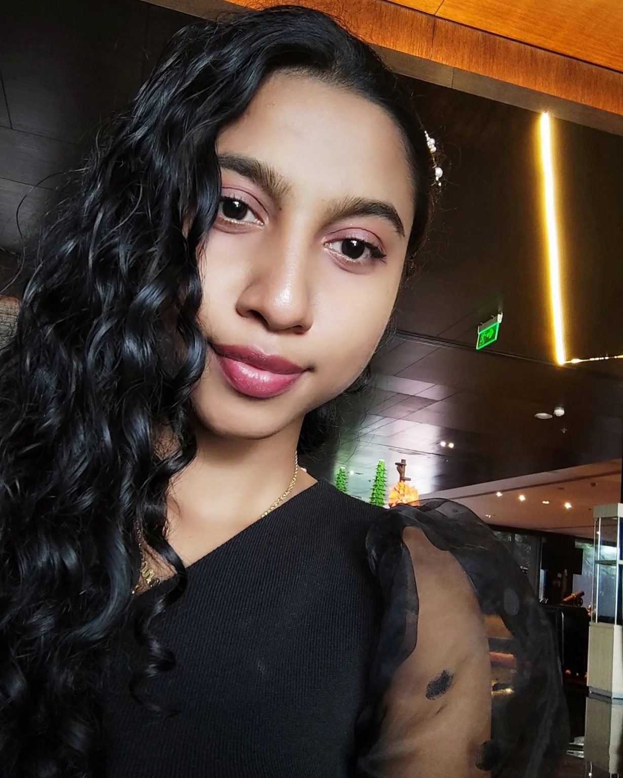 Anjana Mohan: Check Out the Wiki, Age, Biography, Family, and 30 ...